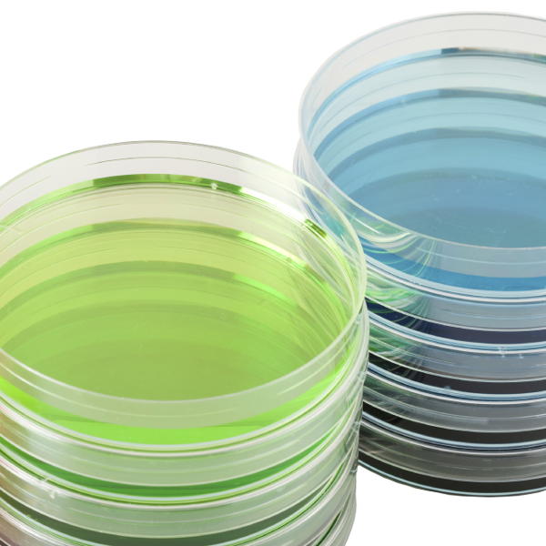 Haemophilus-Test-Medium (HTM; 20 Stck)-MD6012