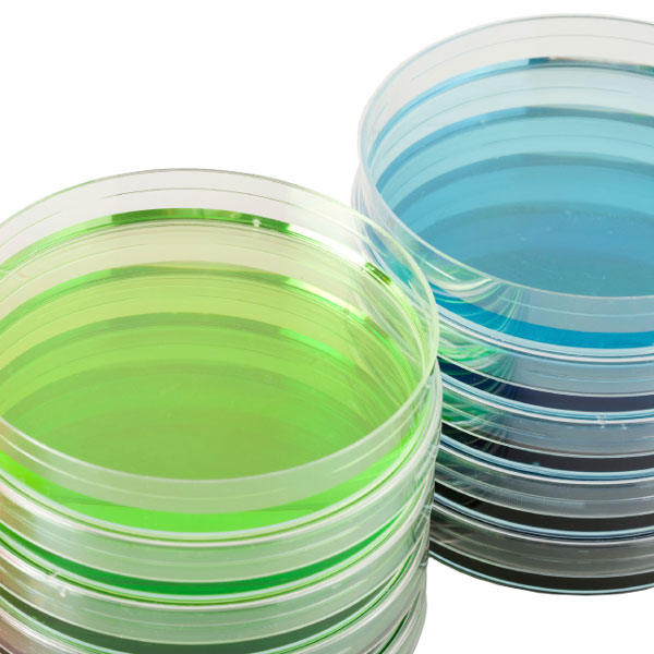 enterococcosal agar (20 pl.)-MD2486