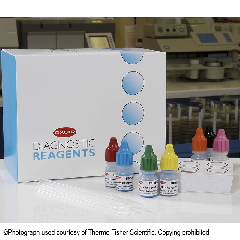 PBP2 Latex Agglutination Test (1x50 Stück) Staphylococcus spp. und MRSA ...